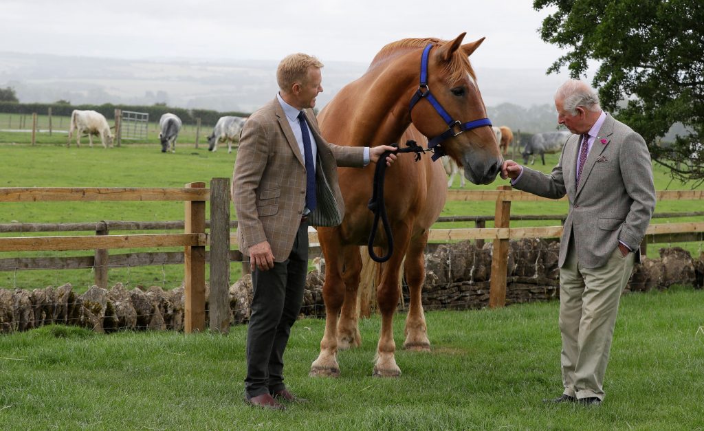 Adam Henson Net Worth - Wiki, Age, Weight and Height, Relationships ...