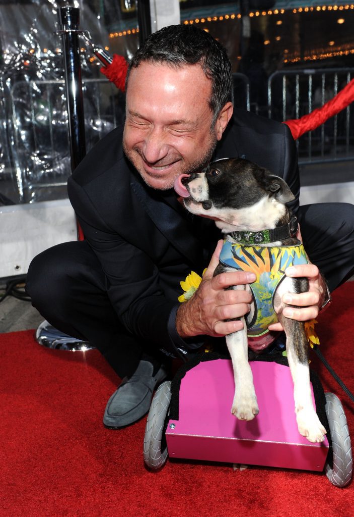 Alan Poul Net Worth in 2023 - Wiki, Age, Weight and Height ...