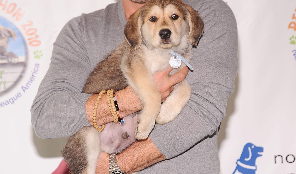 Cesar Millan Net Worth in 2023 - Wiki, Age, Weight and Height ...