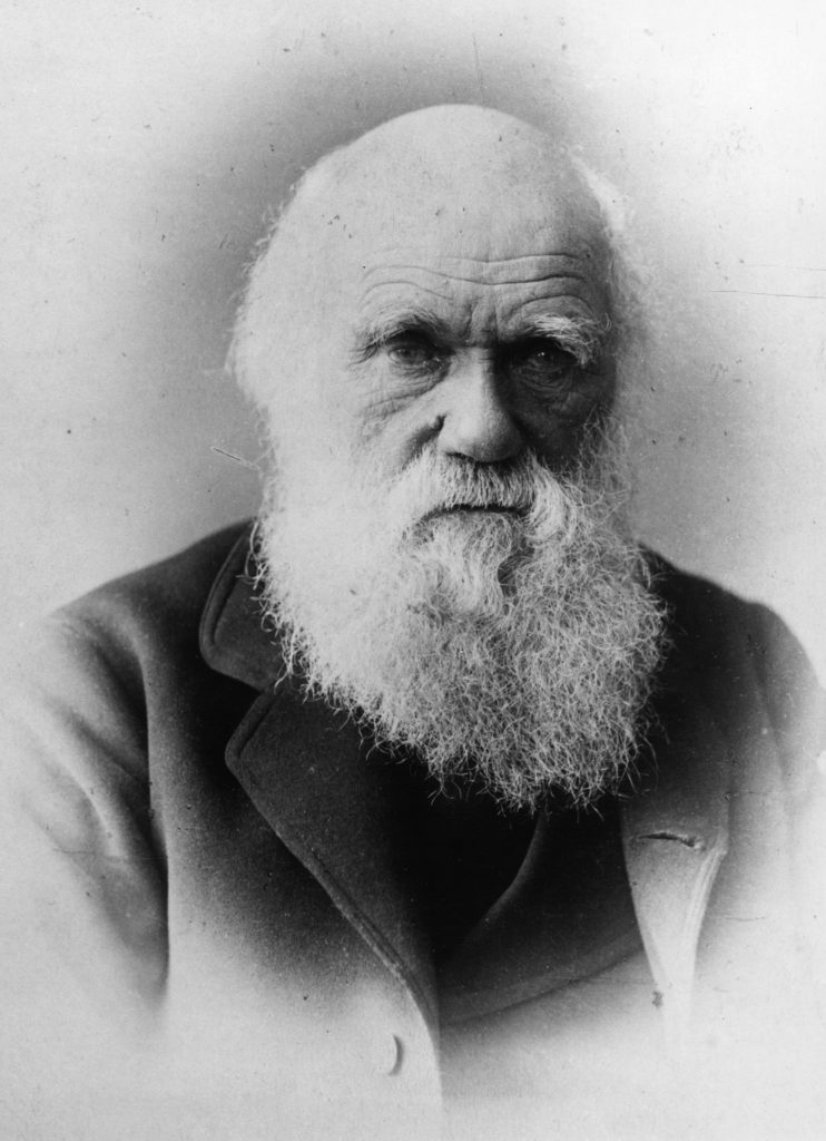 Charles Darwin Net Worth - Wiki, Age, Weight and Height, Relationships ...