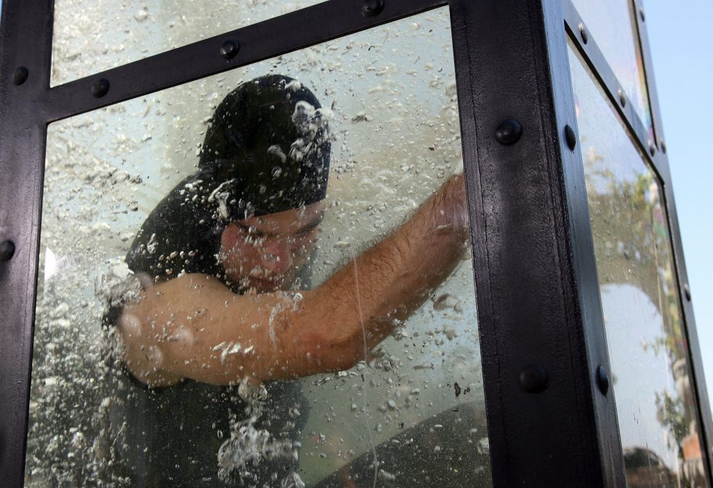 David Merlini Net Worth - Wiki, Age, Weight and Height, Relationships ...