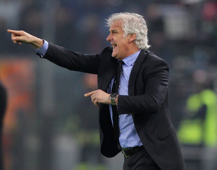 Fred Rutten Net Worth - Wiki, Age, Weight and Height, Relationships ...