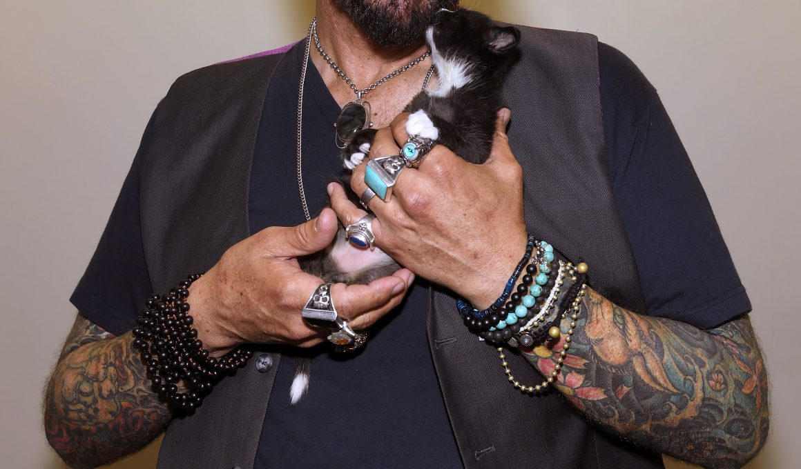 Jackson Galaxy Net Worth in 2023 - Wiki, Age, Weight and Height ...