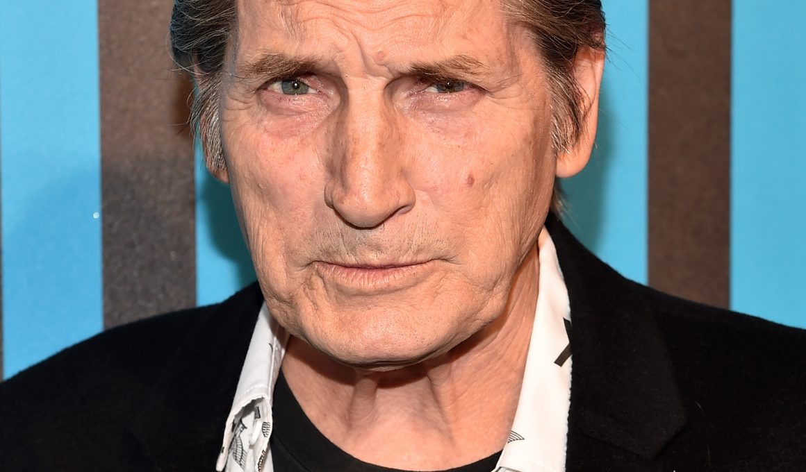 Joe Dallesandro Net Worth in 2023 - Wiki, Age, Weight and Height ...