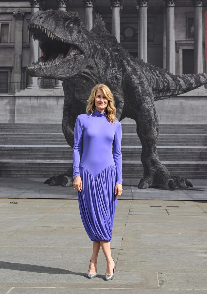 Laura Dern Net Worth - Wiki, Age, Weight and Height, Relationships ...