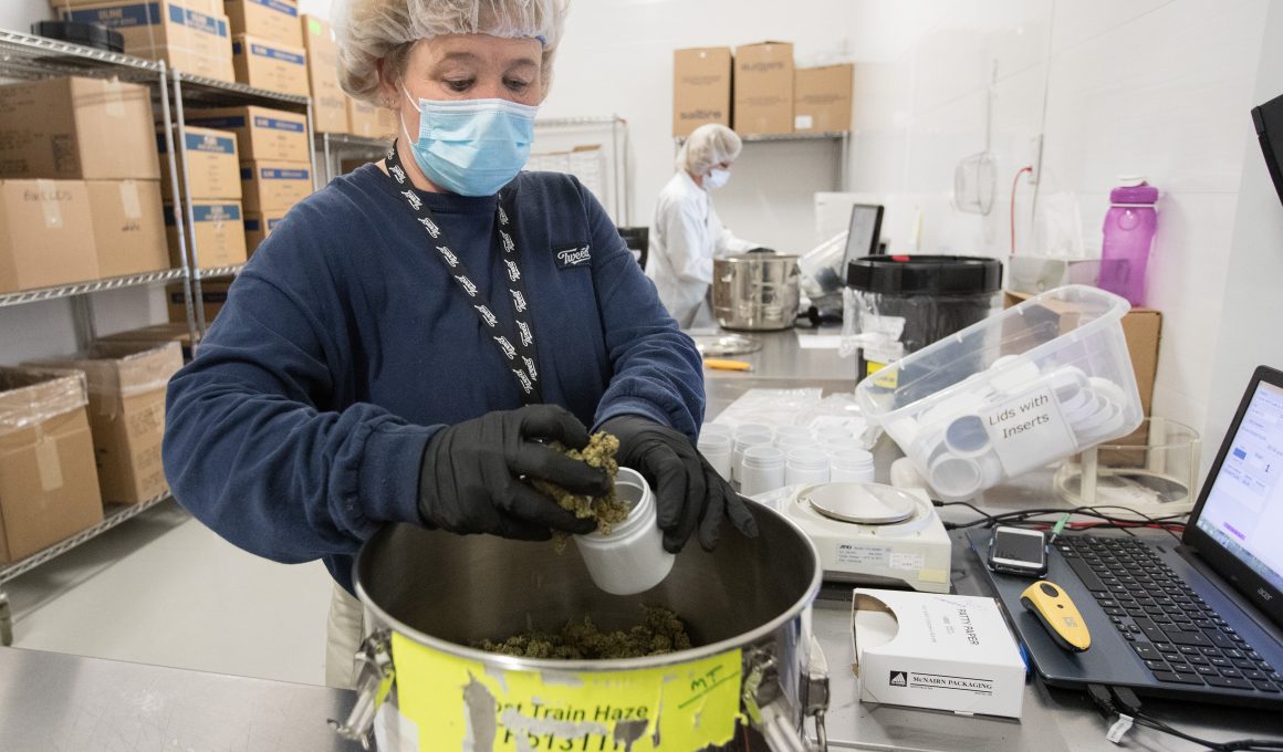 Sherry Jackson Net Worth in 2024 - Wiki, Age, Weight and Height ...