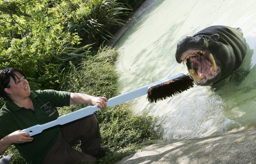 Tracey Lee Net Worth - Wiki, Age, Weight and Height, Relationships ...