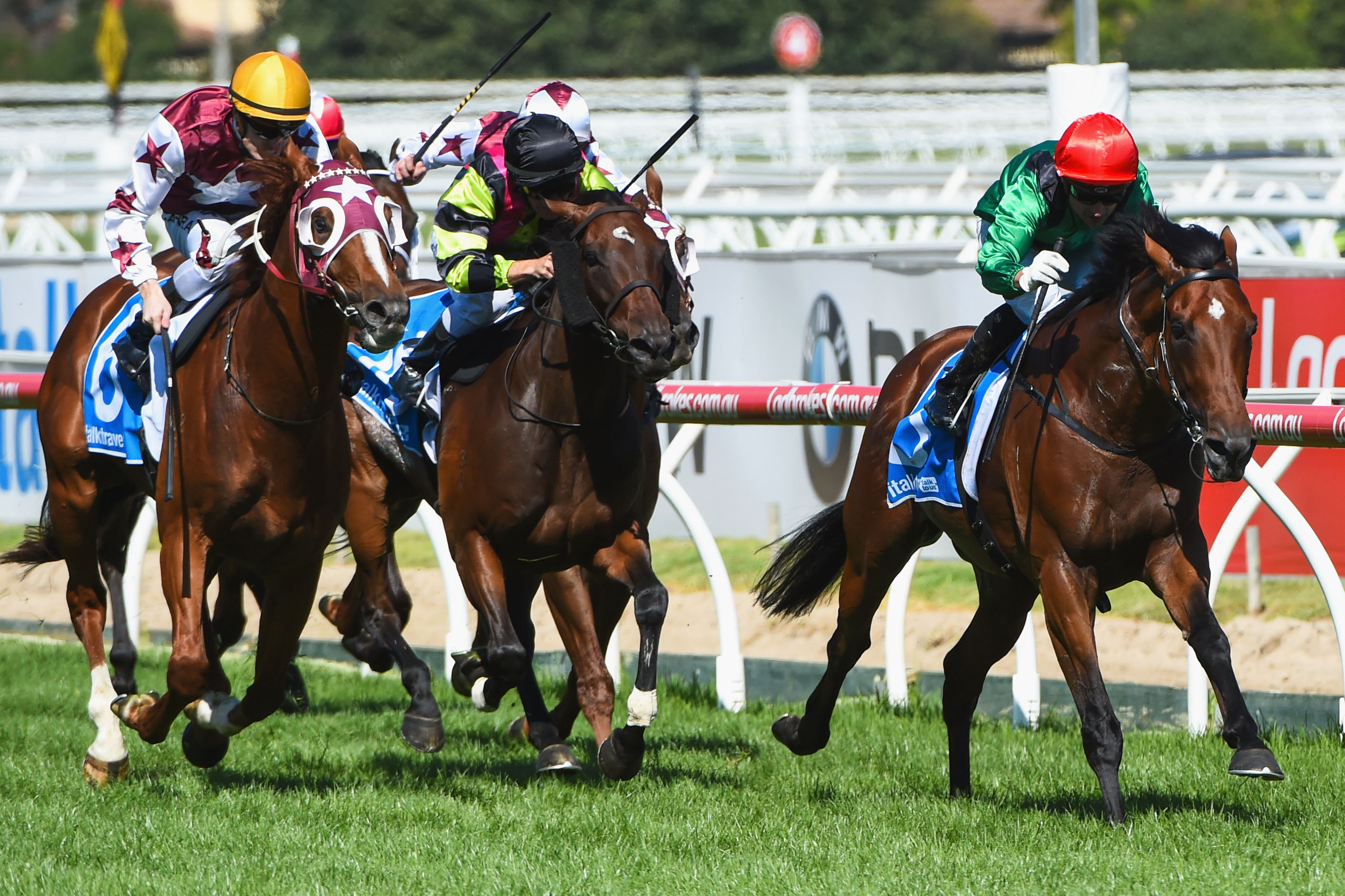 Bosson Net Worth in 2023 - Wiki, Age, Weight and Height, Relationships ...