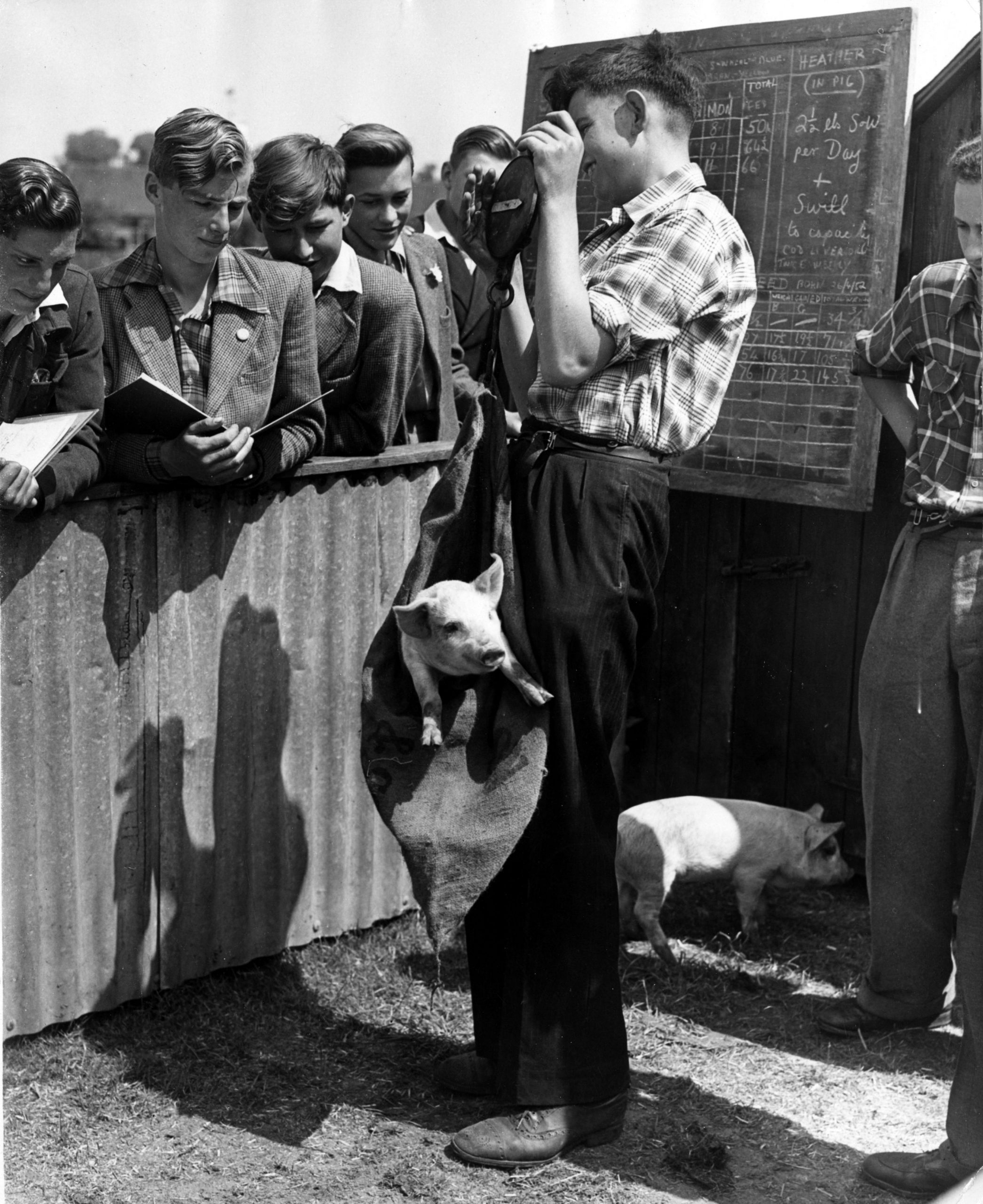 David Hull Net Worth in 2023 - Wiki, Age, Weight and Height ...