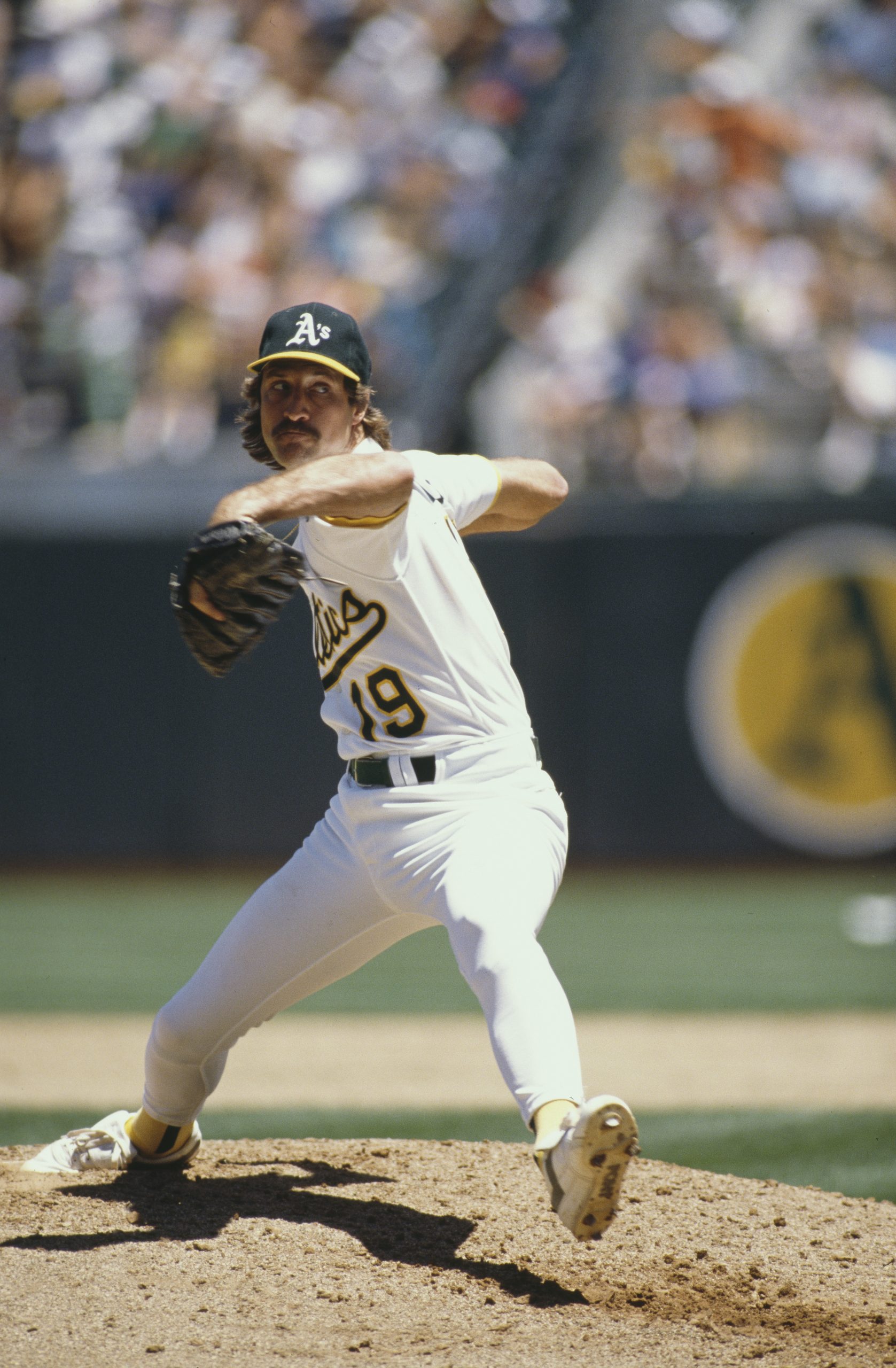 Gene Nelson Net Worth in 2023 - Wiki, Age, Weight and Height ...