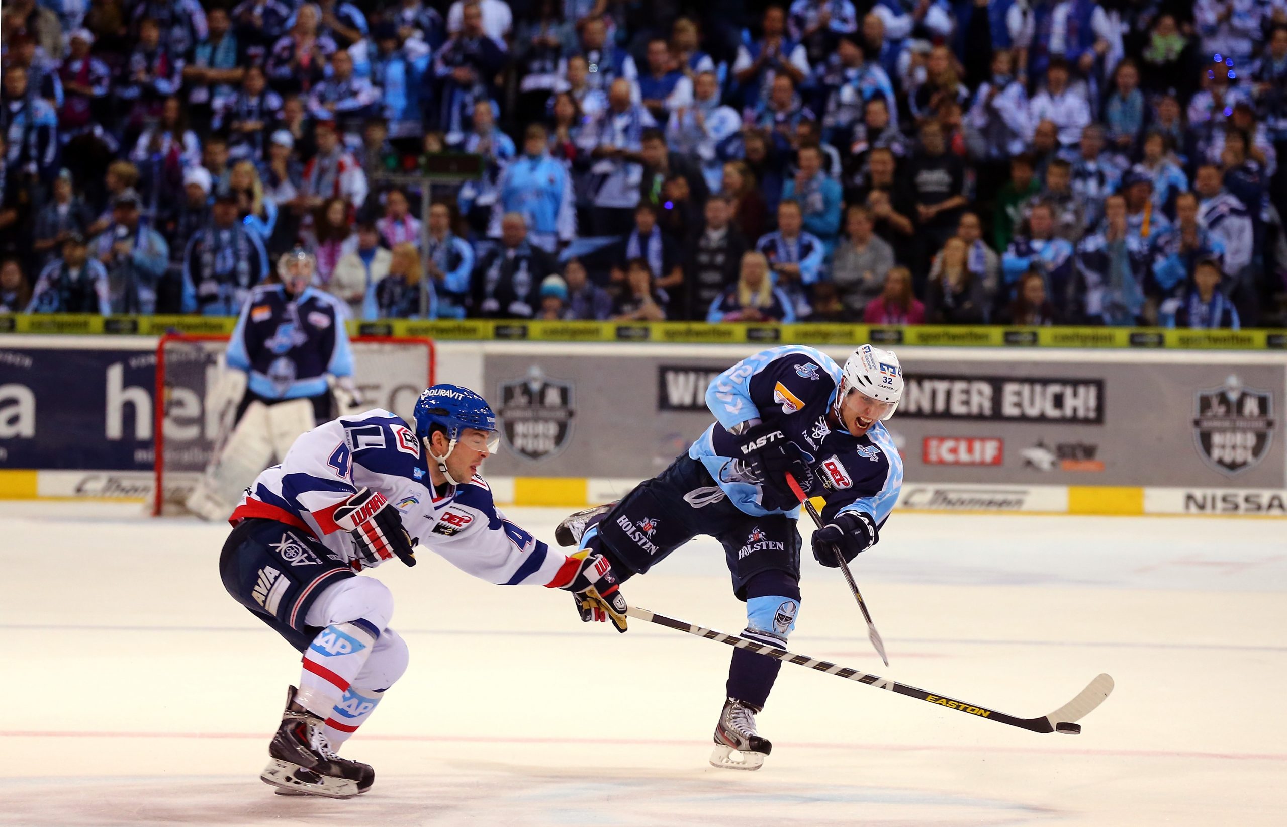 Kevin Schmidt Net Worth in 2023 - Wiki, Age, Weight and Height ...