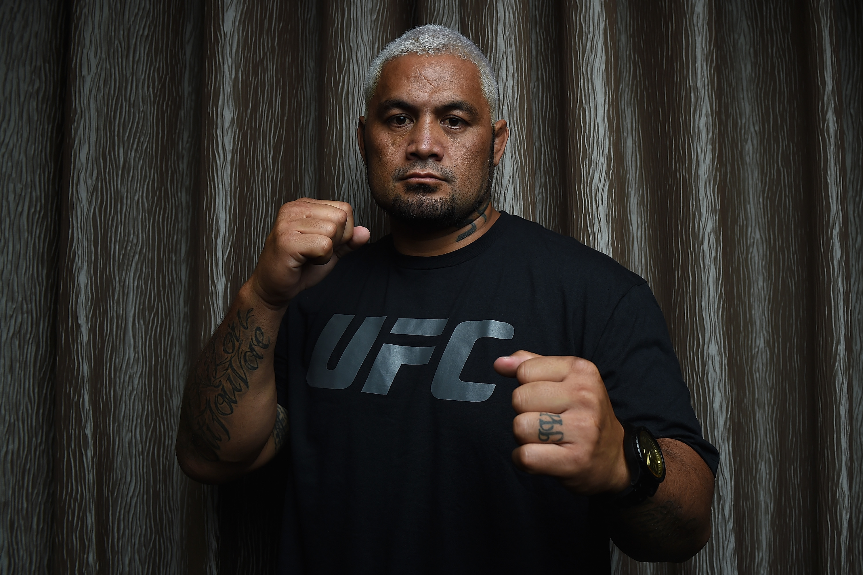 Mark Hunt Net Worth in 2023 - Wiki, Age, Weight and Height ...