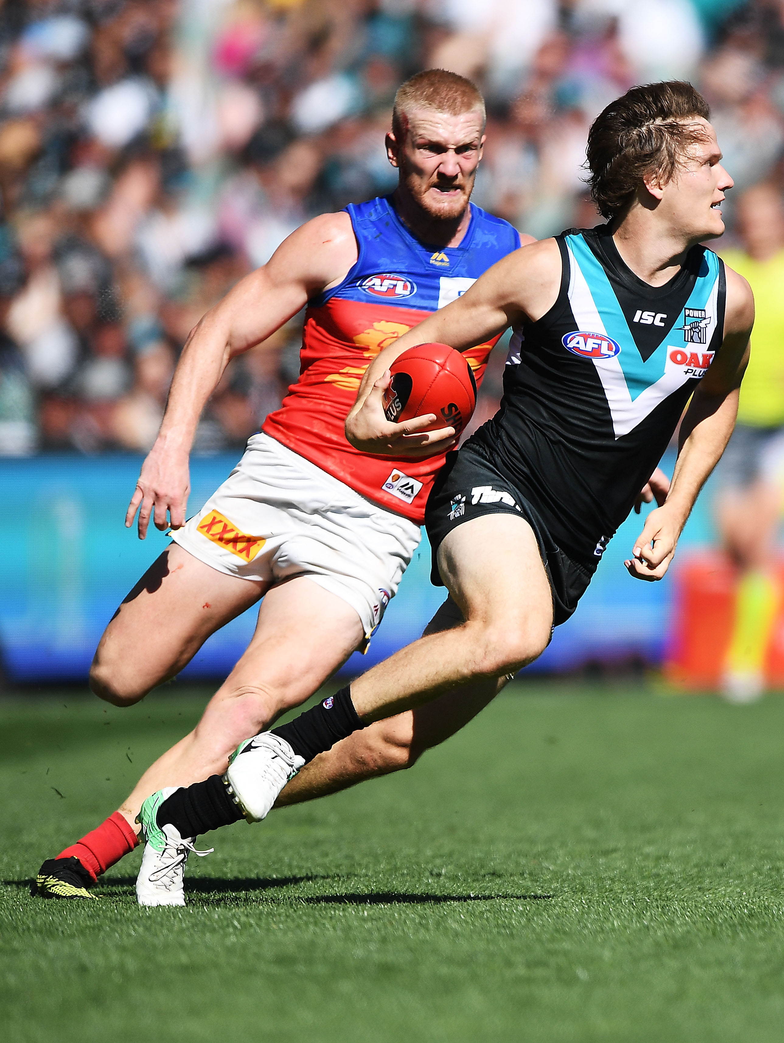 Nick Robertson Net Worth in 2023 - Wiki, Age, Weight and Height ...