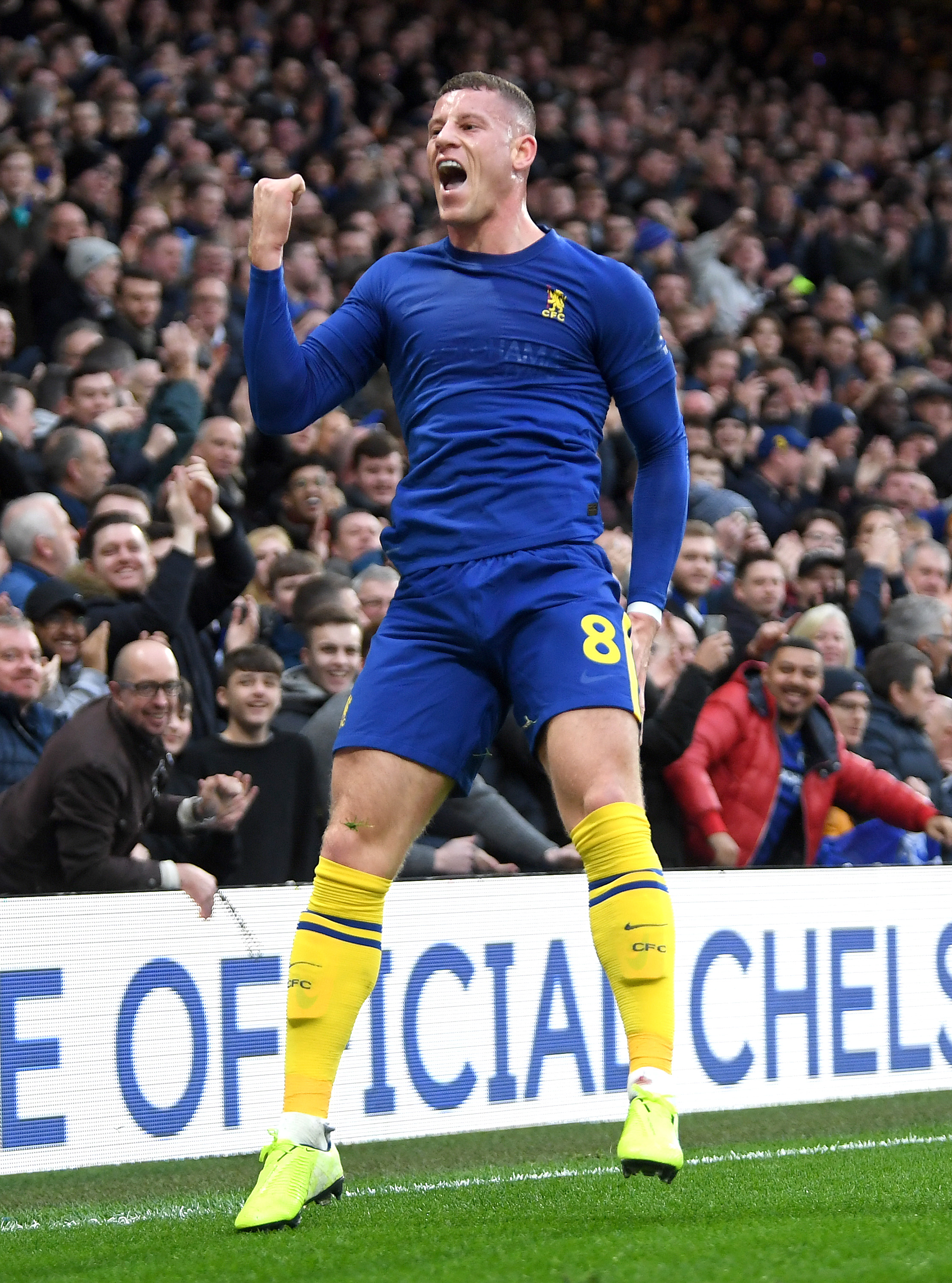 Ross Barkley Net Worth in 2023 - Wiki, Age, Weight and Height ...